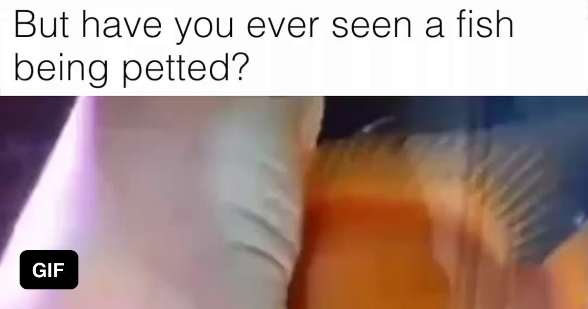 This is pure GOLD! - 9GAG