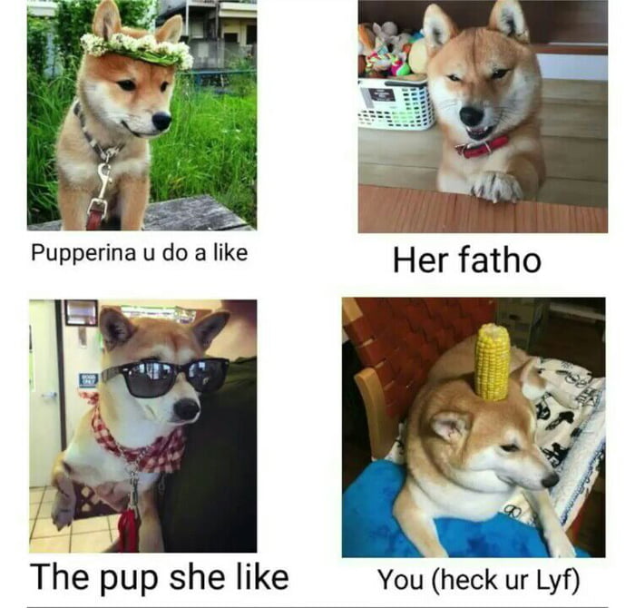 Help a pupper out and help me get Pupperina pls - 9GAG