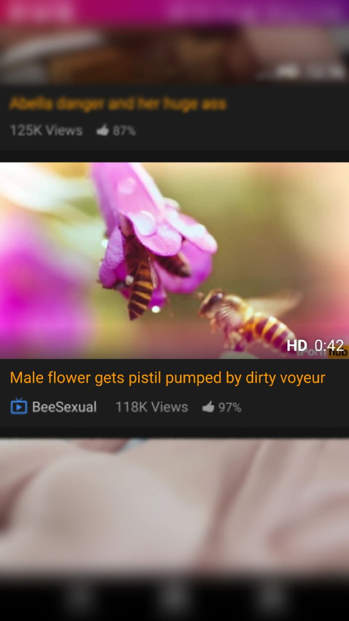 Bee clear what your getting yourself into. - 9GAG