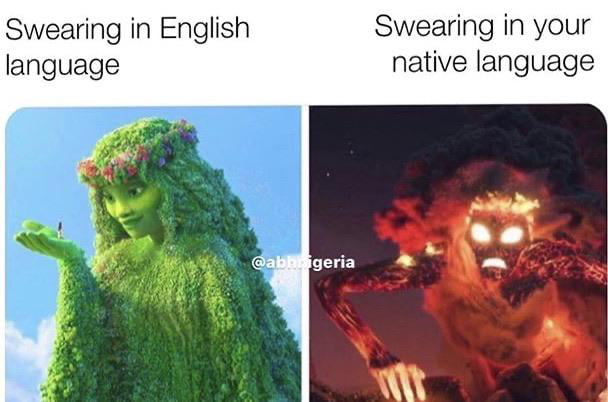 Native language hits differently - 9GAG
