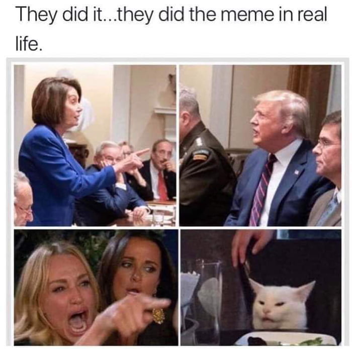 Donald the cat - 9GAG