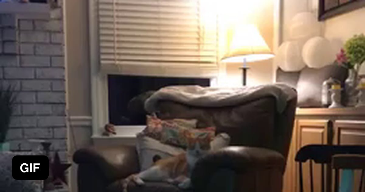 Interrupting nap time - 9GAG