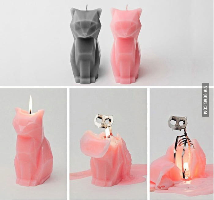 These Cats melt and slowly show their skeleton - 9GAG