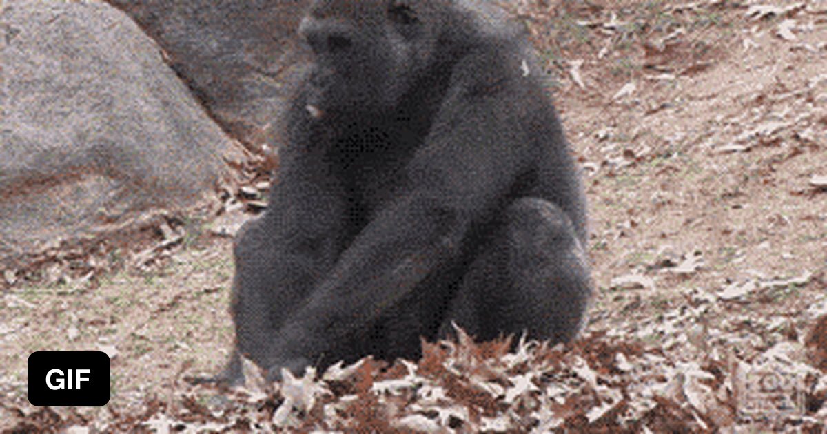 Activating evasive maneuvers - 9GAG