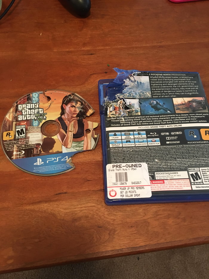 The dog finally took out her first PS4 disc. RIP, GTA V. - 9GAG