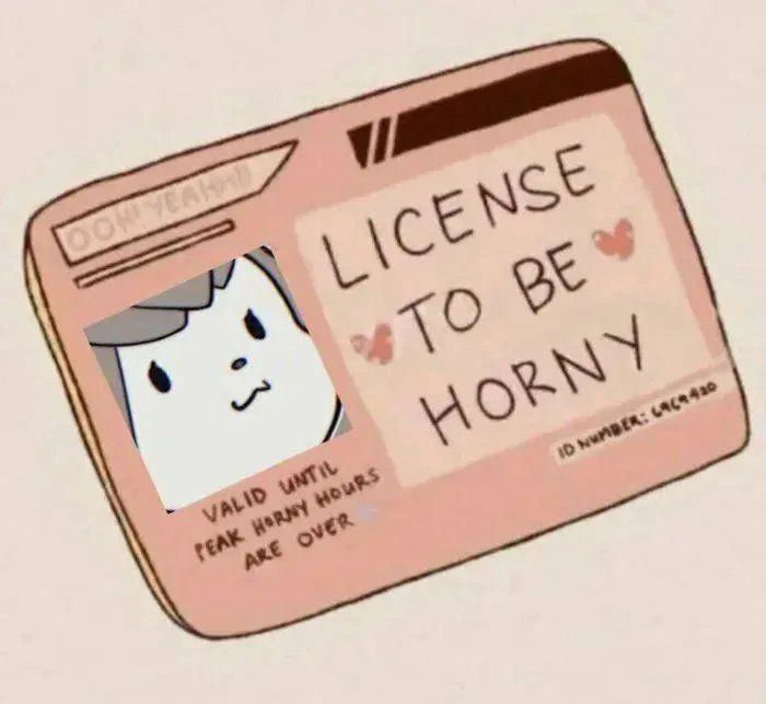 The Bonk Police are distracted. Quick, get this license to be horny. - 9GAG