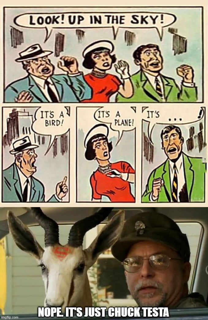 Call Chuck Testa for the most lifelike dead animals around. Period. - 9GAG