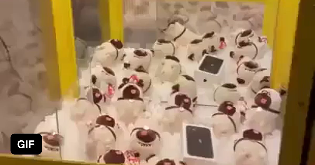 The only man to win at the claw machine game in 14 years - 9GAG