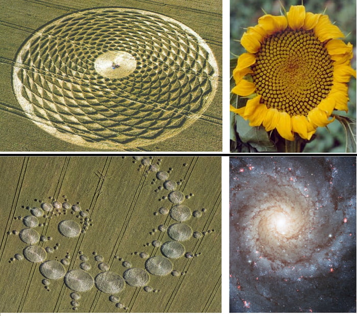 Crop circles = universal language - 9GAG