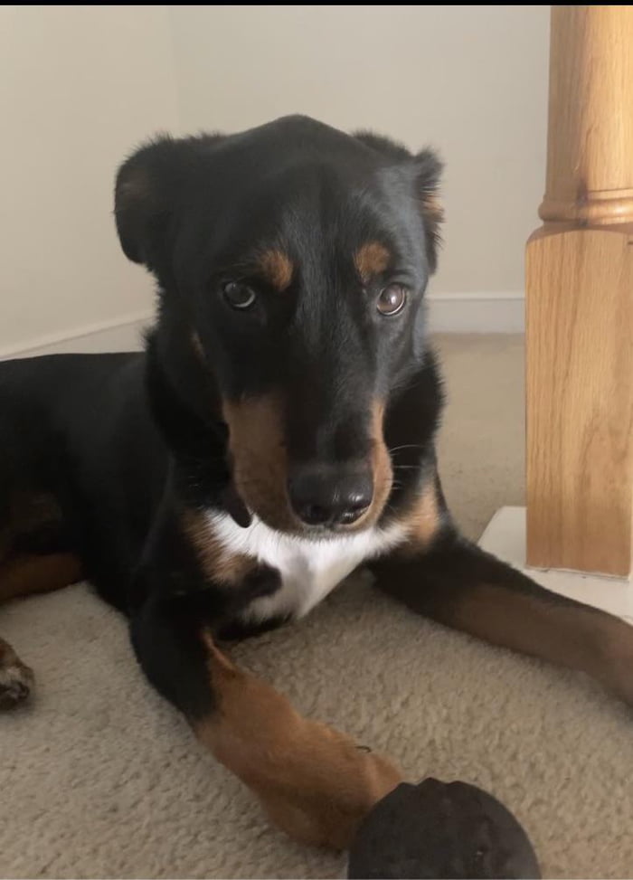 He’s very concerned - 9GAG