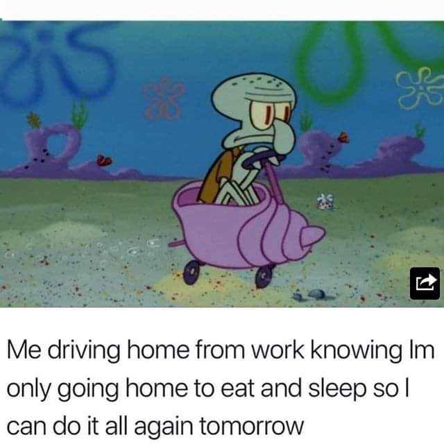 Endless cycle of life - 9GAG