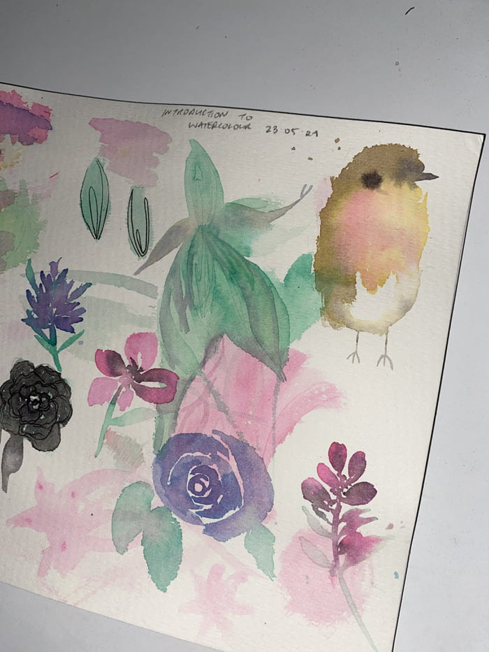 Here s My 5 30am Watercolor I Havnt Slept Yet Roast Me In The here-s-my-5-30am-watercolor-i-havnt-slept-yet-roast-me-in-the