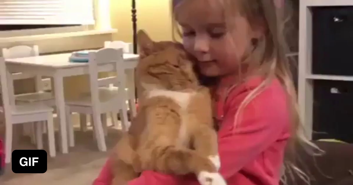 Kitty cuddles - 9GAG