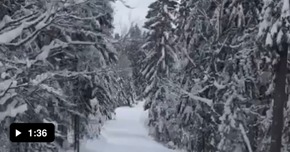 You want sum fuk? - 9GAG