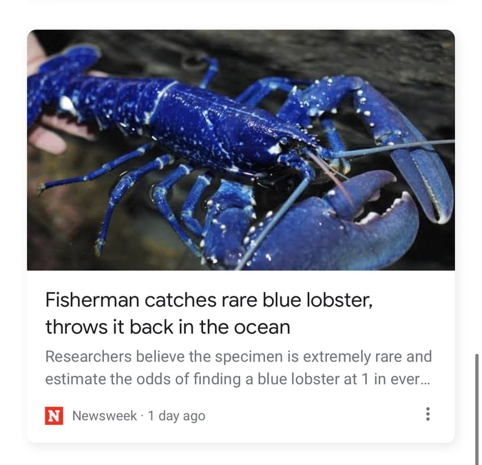 Real life shiny Pokémon - 9GAG