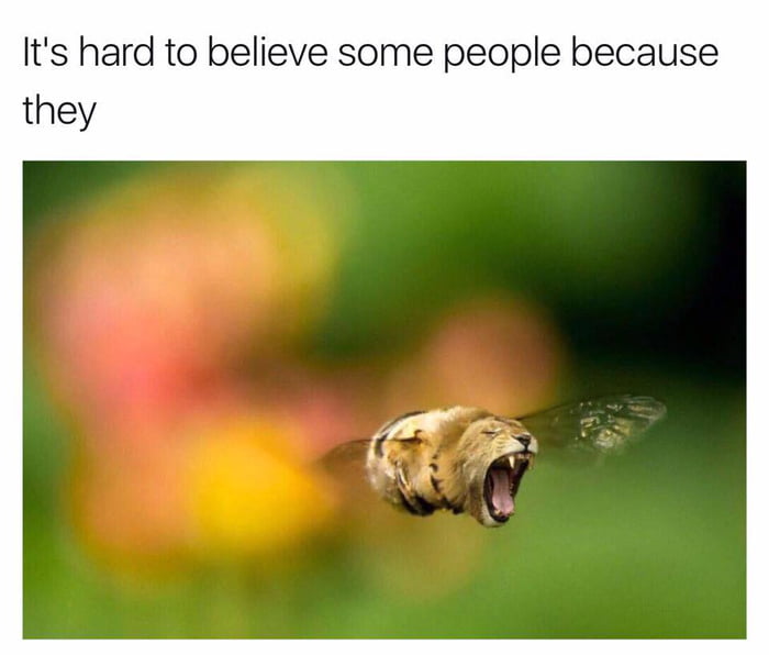 People bee - 9GAG