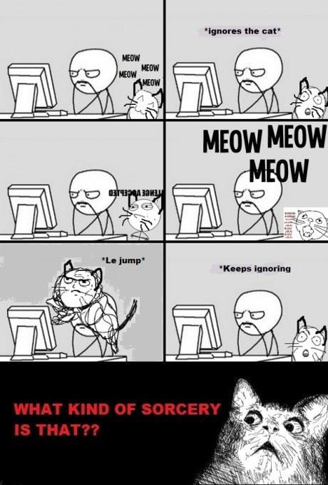 I haz Cat ! - 9GAG