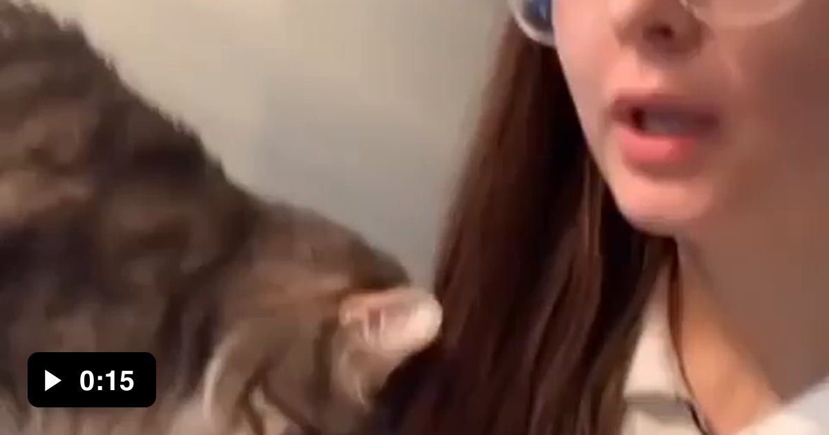 The surprised cat with a revenge bite - 9GAG