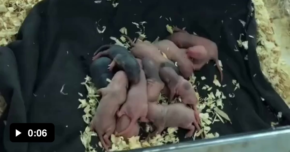 Screw em kids, I guess - 9GAG