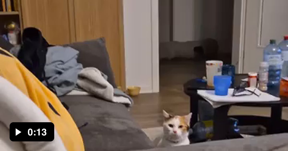 Beans is way too fast. - 9GAG