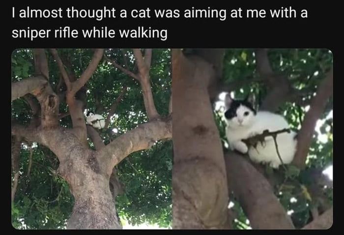 Sniper!!! - 9GAG