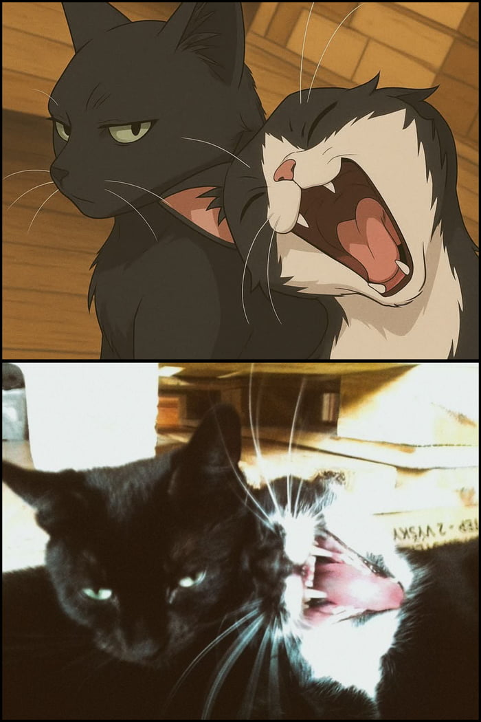 Le Chat GPT and an old foto of my cats. - 9GAG