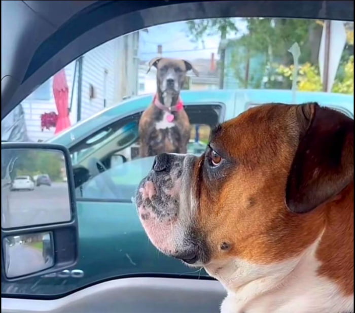 When you drive past the person you owe money to.......Neck stiff. Eyes ...