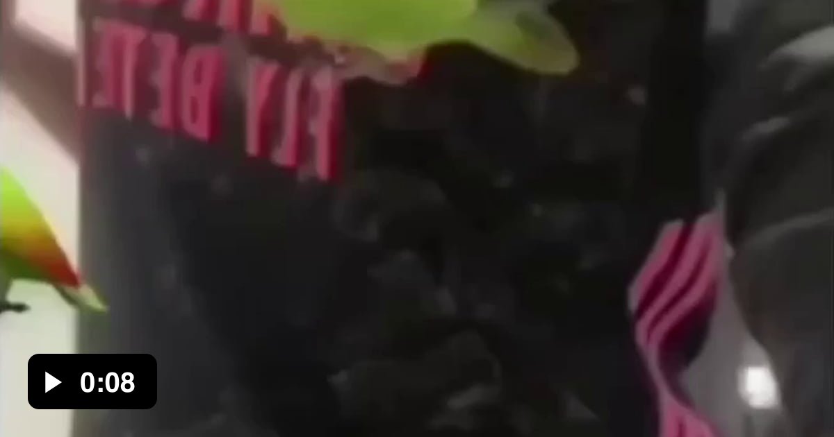 Totally a dick move - 9GAG