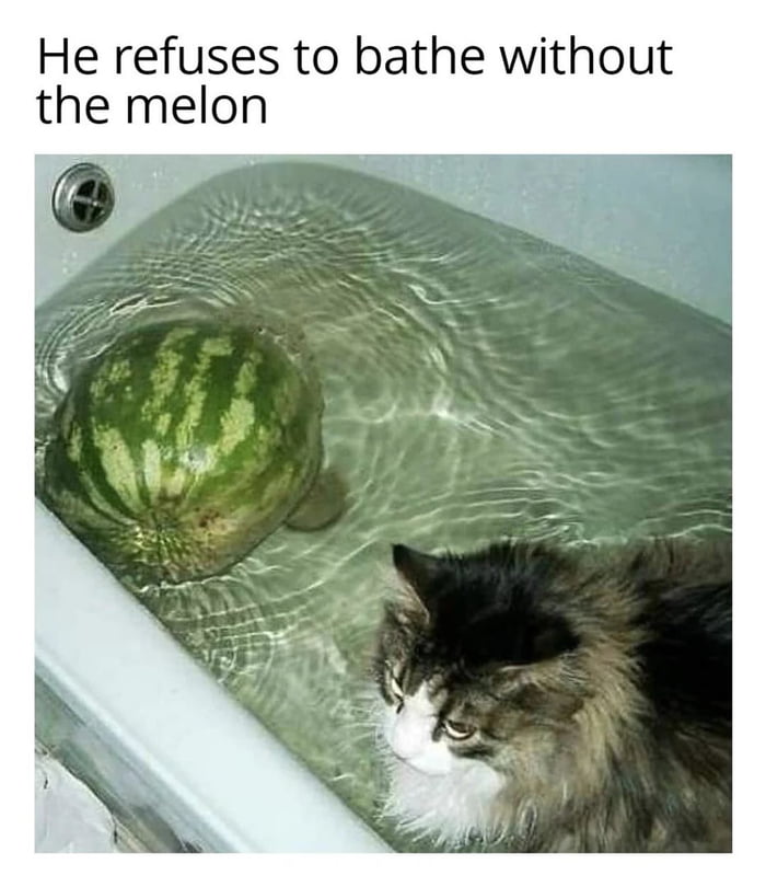 Okay, but why the melon? - 9GAG