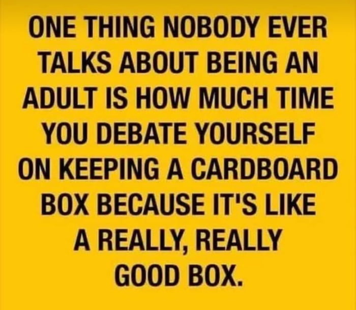Who knew adulthood meant hoarding perfect boxes? - 9GAG