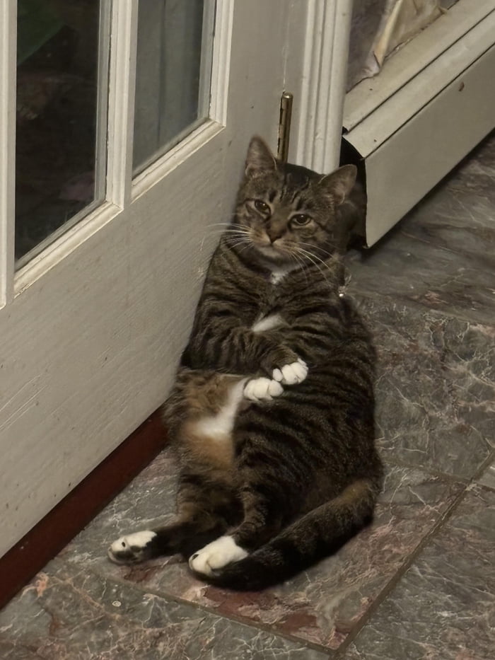 Just chillin’ - 9GAG