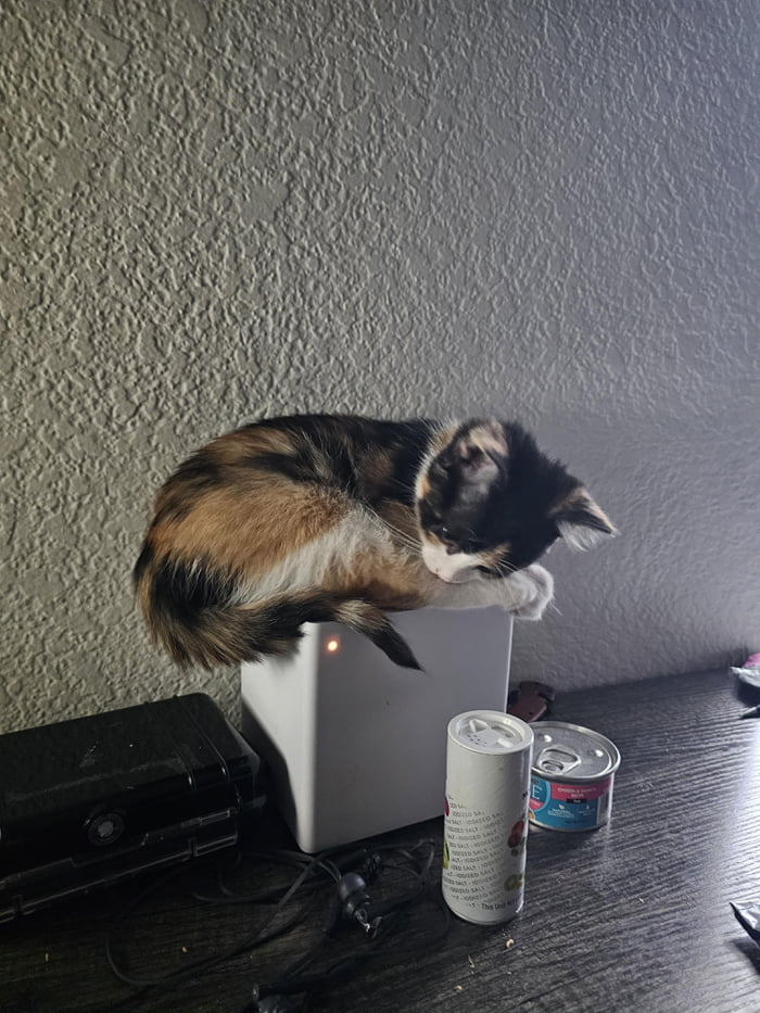 She used to be so tiny - 9GAG