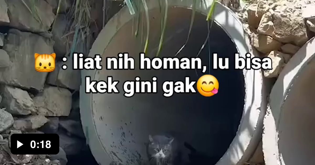 Bisa pas gini ya, baru aja bahas gtaunya ada beginian di fyp.. kalo di peratiin kaya familiar ...