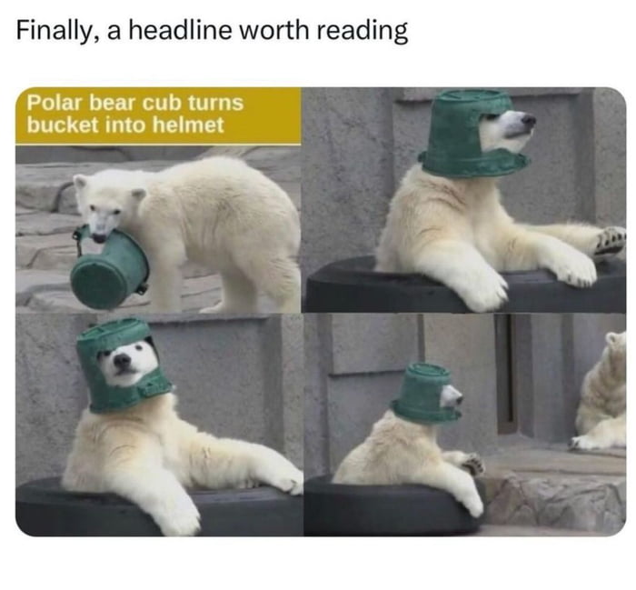 It’s giving Golden Compass - 9GAG