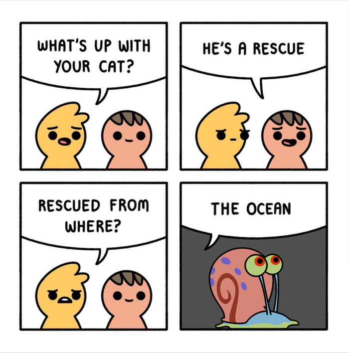 Meow - 9GAG