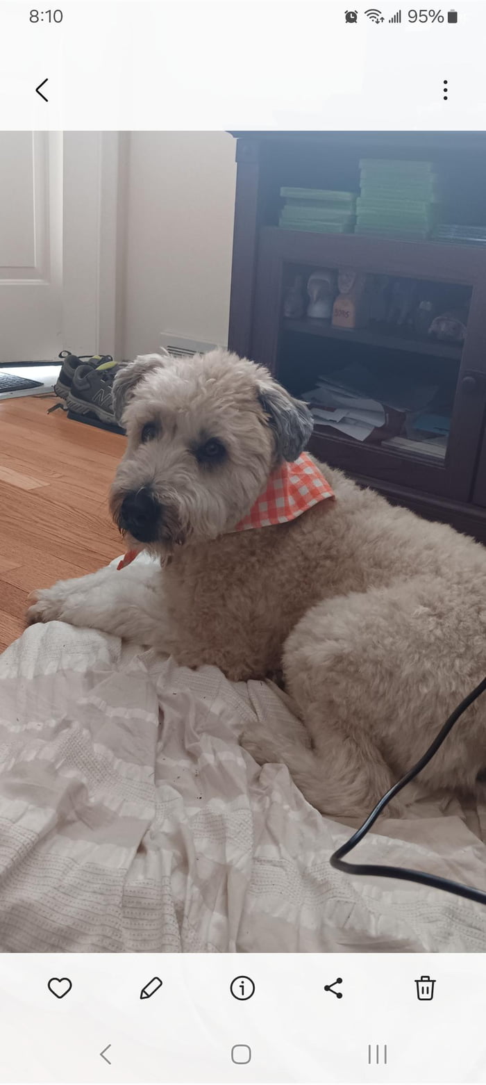 Jack says hi! 😊 - 9GAG