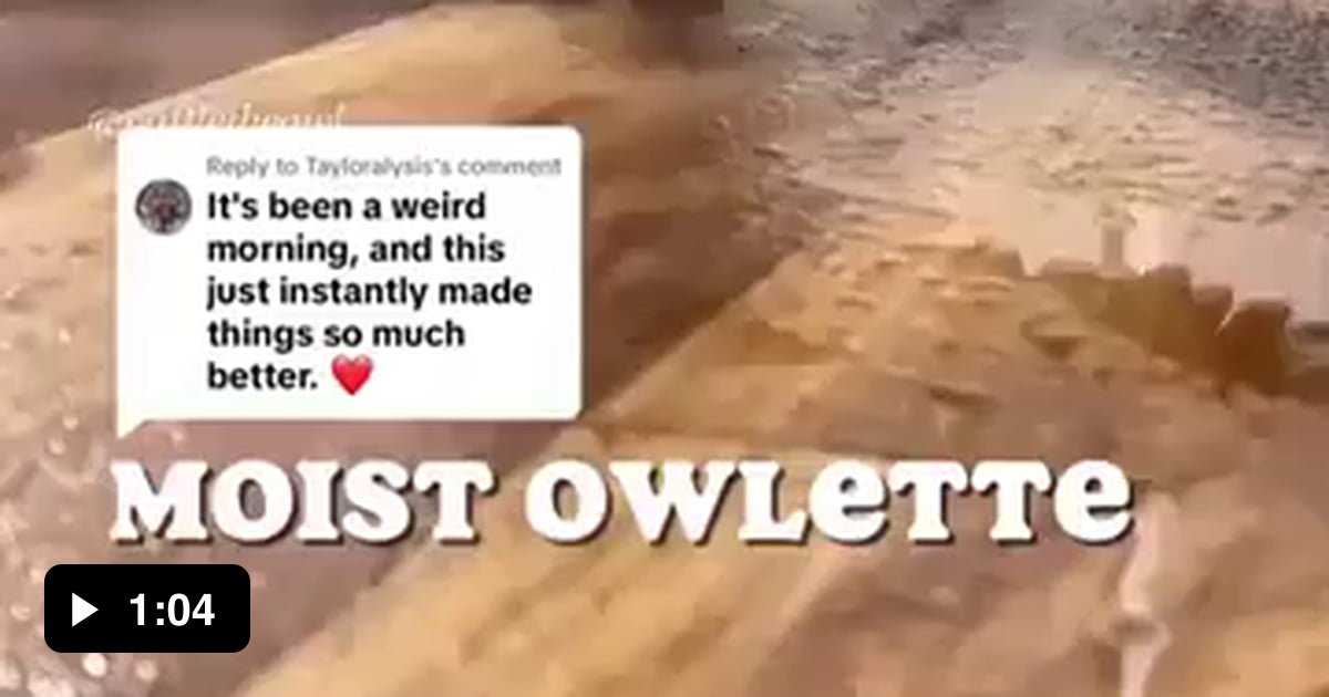 Moist Owlette - 9GAG