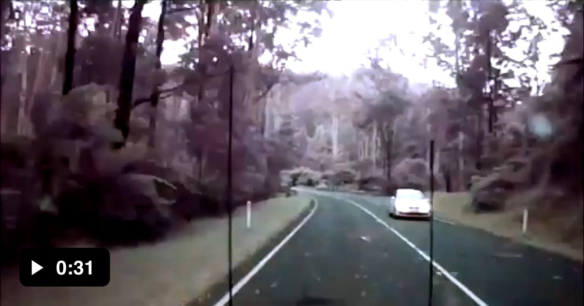 Strong winds bring trees crashing down - 9GAG