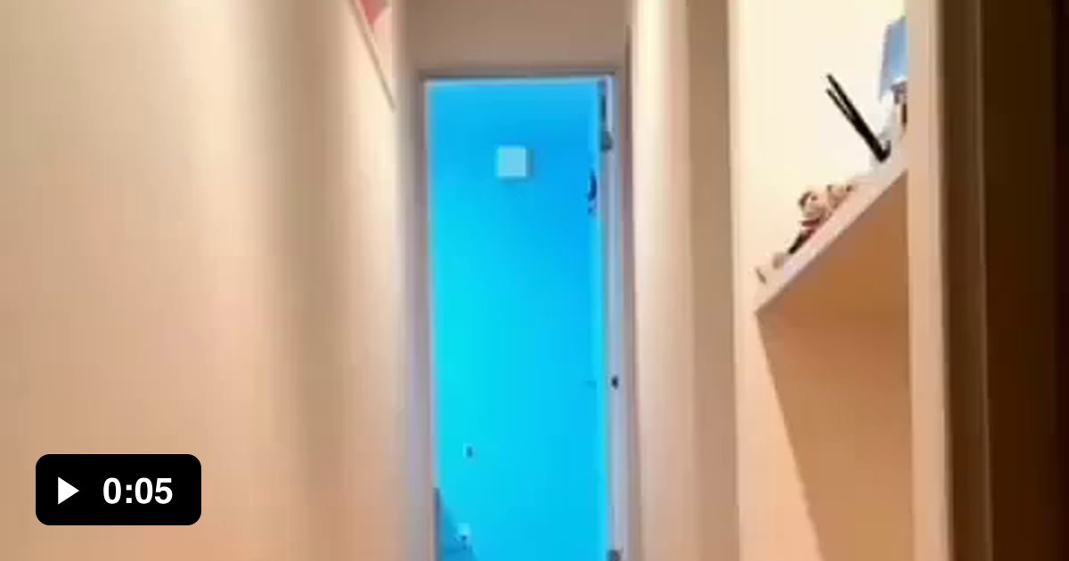 You did your best, fluffball! - 9GAG