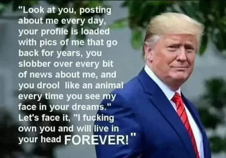 Whenever you see a post of some TDS driven lefty snowflake - 9GAG