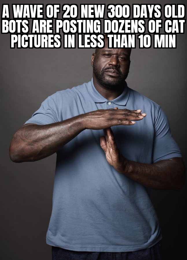 We know that those cats pics are for trying to convince us they are not ...