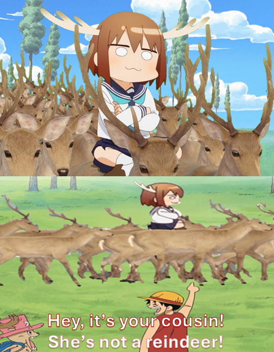 Chopper's Cousin - 9GAG