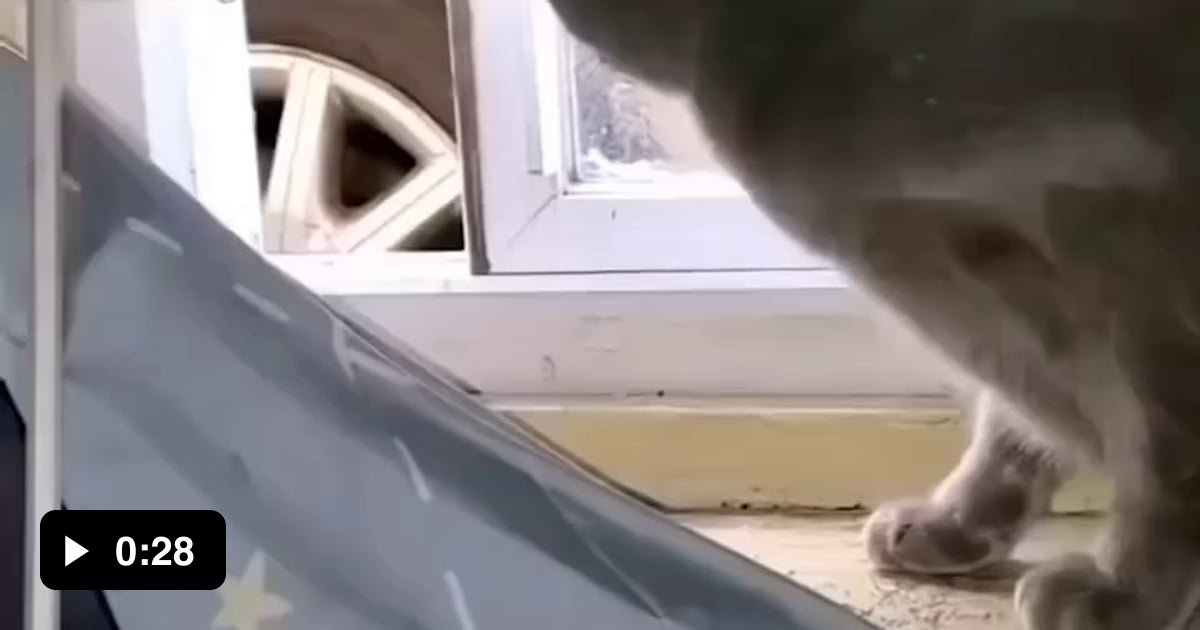 There is another version of this video. Help me to find it - 9GAG