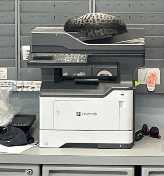 Working at the DMV - 9GAG