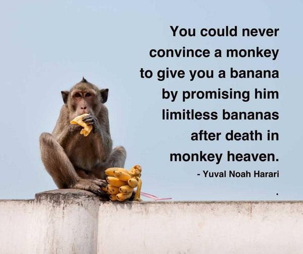 72 Bananas in Heaven - 9GAG