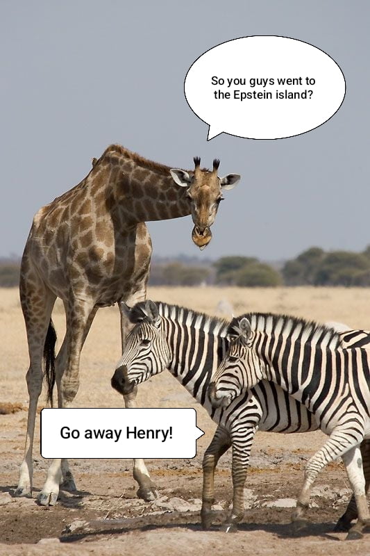 Zebra files - 9GAG