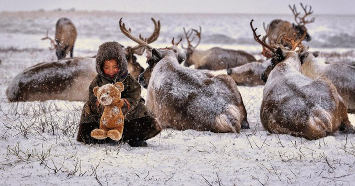 The warmth of Friendship : Teddy bear, Tazovskiy peninsular, Yamalo ...