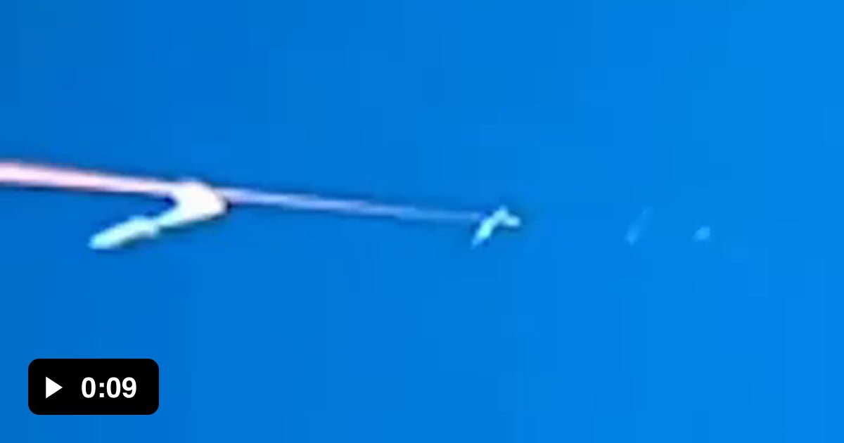 Humboldt squid cannibalism caught on camera - 9GAG