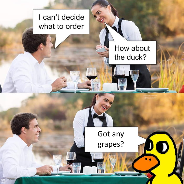 And he waddled away - 9GAG