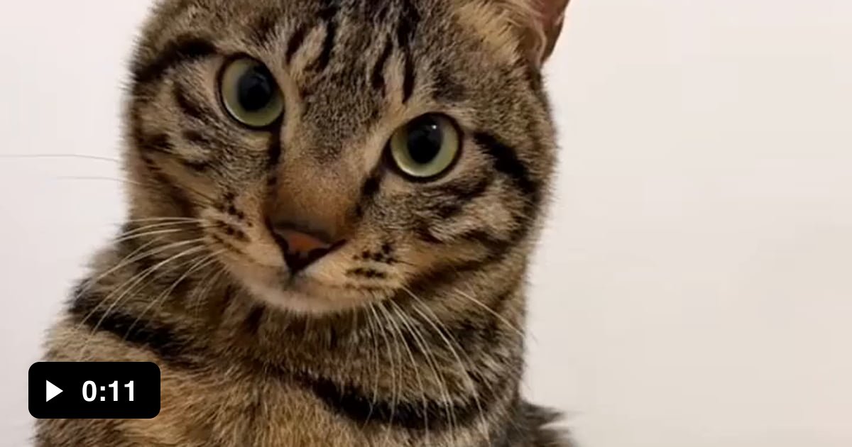 Valid reaction to someone coughing in your face. - 9GAG